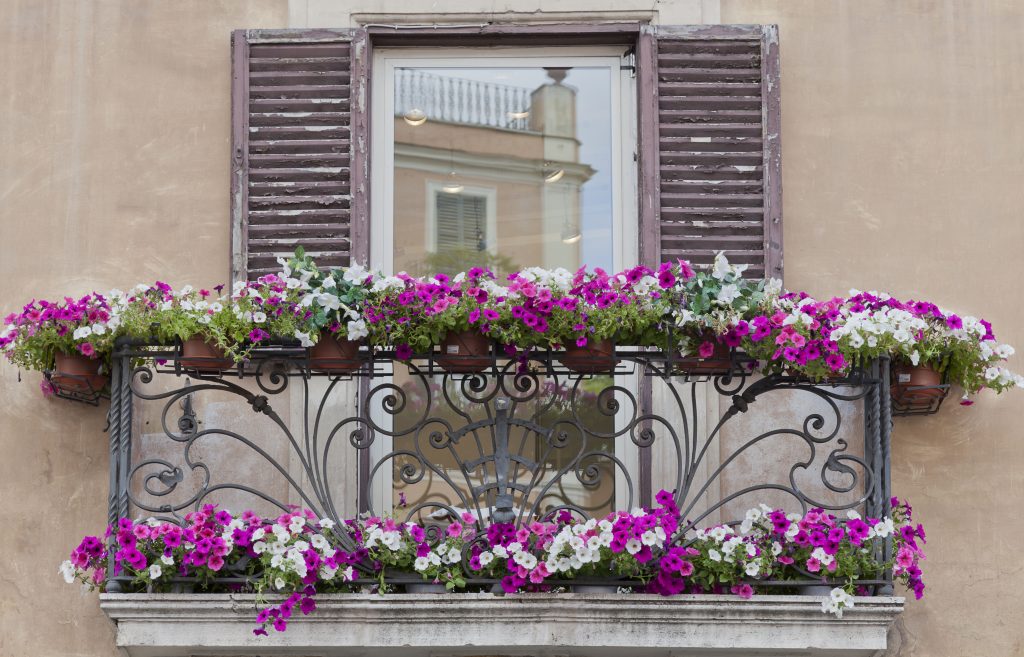 10 fiori da balcone, facili da curare - Arredamenti Bleve